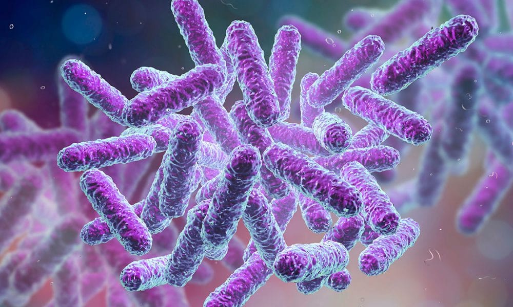 Punto débil en bacterias patógenas - Noticias en Salud